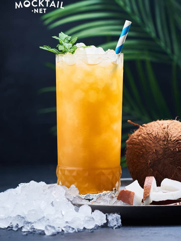 Homemade Alani Energy Drink - Mocktail.net